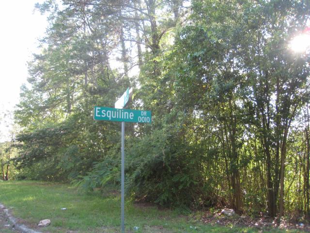 1 bedroom, Columbus GA 31903 78109592