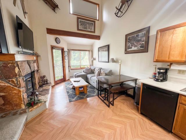 1 Bedroom Condo for Rent at 10000 Ryan Gulch Rd #209, Silverthorne, CO 80498