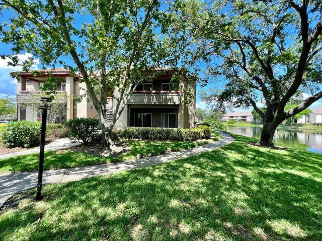 1 Bedroom Condo for Rent at 10265 Gandy Blvd N, St Petersburg, FL 33702