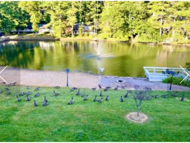 1 Bedroom Condo for Rent at 1150 W Blue Ridge Rd #221, Flat Rock, NC 28731