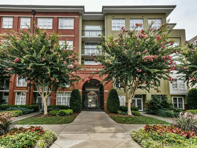 1 Bedroom Condo for Rent at 1320 Fillmore Avenue 1Unit 116 #1, Charlotte, NC 28203 Dilworth