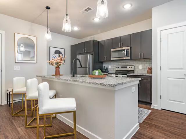 1 Bedroom Condo for Rent at 16720 Doe Creek Road #600.91, Frisco, TX 75033