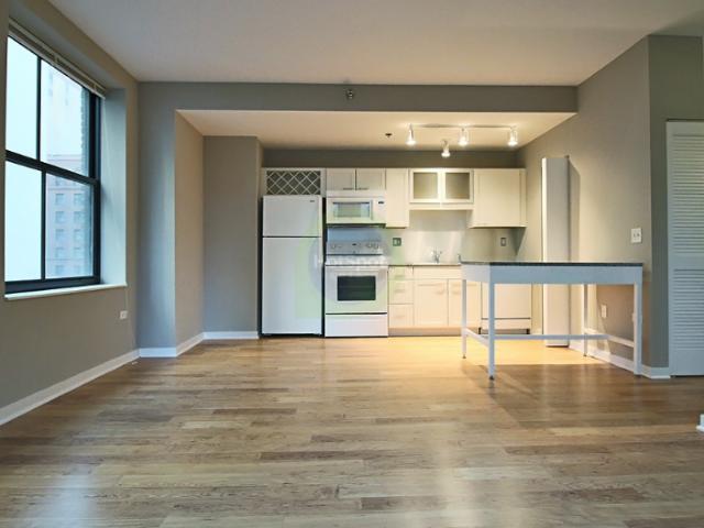 1 Bedroom Condo for Rent at 172 W Randolph St #1806, Chicago, IL 60601 Loop