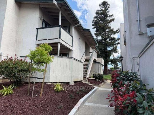 1 Bedroom Condo for Rent at 5460 Concord Blvd #B4, Concord, CA 94521