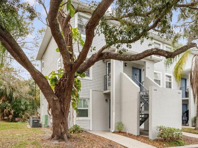 1 Bedroom Condo for Rent at 7100 Waterside Dr, Tampa, FL 33617 Northeast Tampa