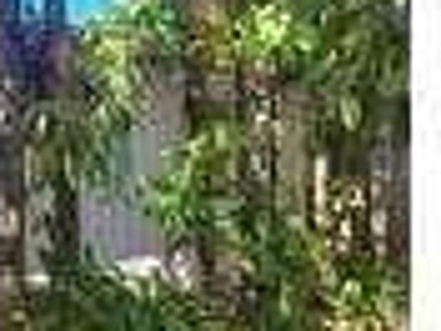 1 Bedroom Condos & Townhouses For Rent Miami FL