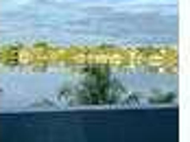 1 Bedroom Condos & Townhouses For Rent Miami FL