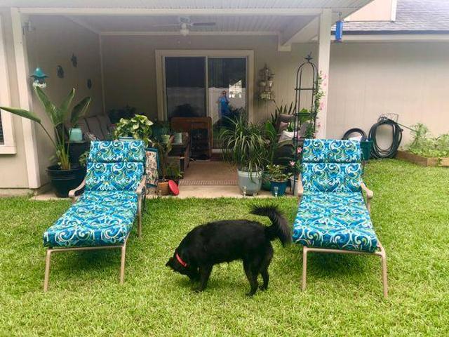 1 bedroom, Callahan FL 97414951