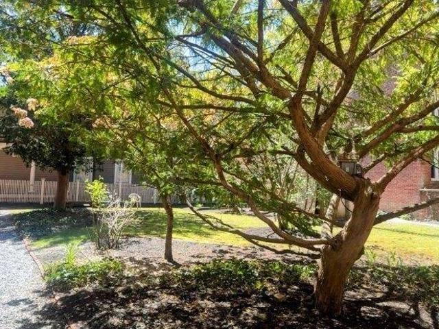 1 bedroom, Cambridge MA 02138 101958356