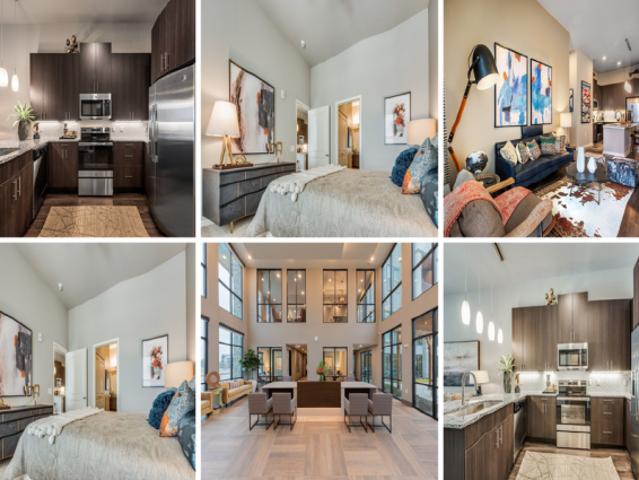 1 bedroom, Carrollton & Farmers Branch TX 75234 77109170