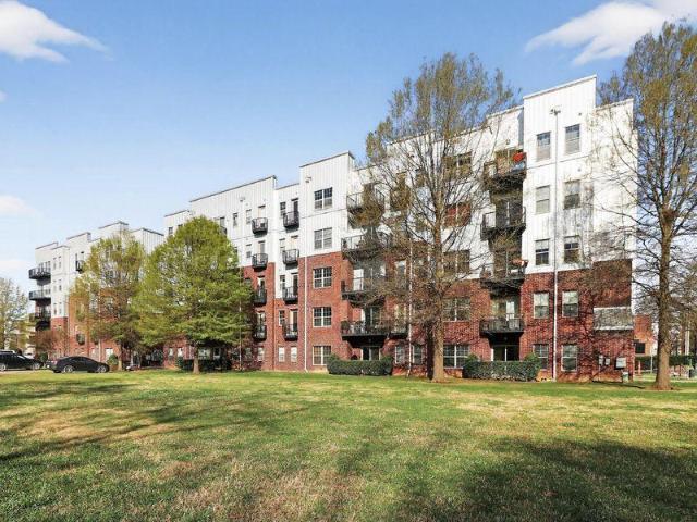 1 bedroom, Charlotte NC 28205 101012030