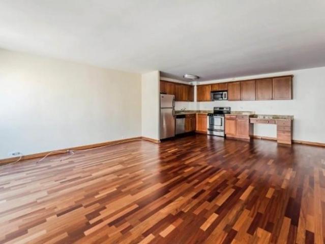1 bedroom, Chicago IL 60657 LS30106348