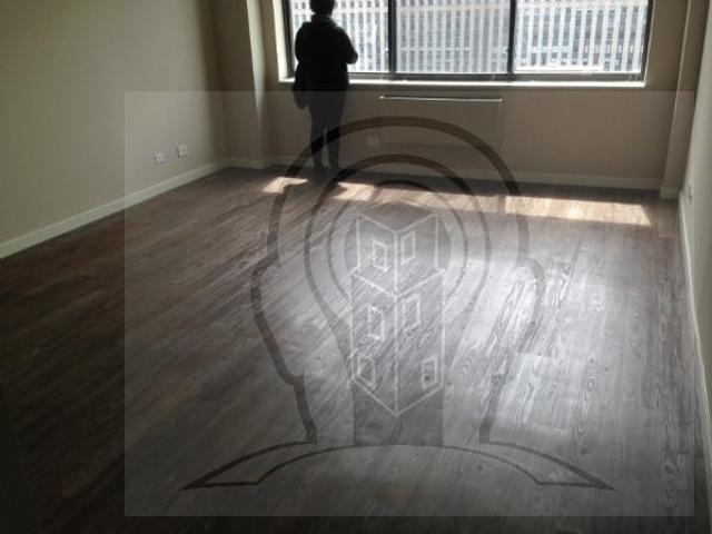 1 bedroom, CHICAGO IL 60654 78117907