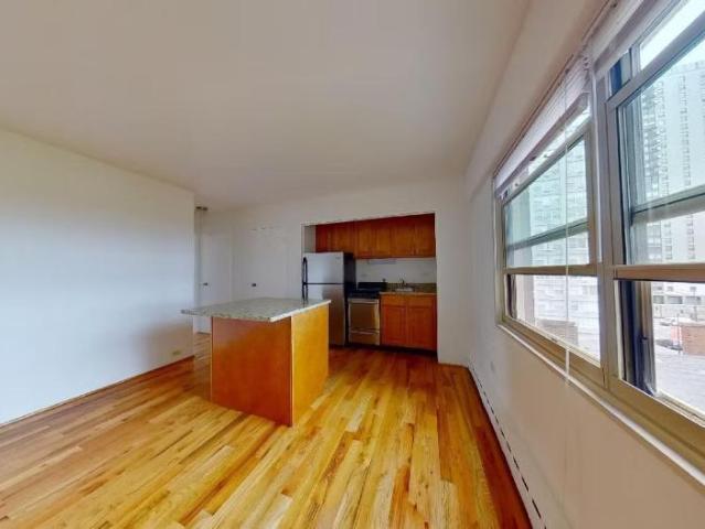 1 bedroom, Chicago IL 60660 85597366