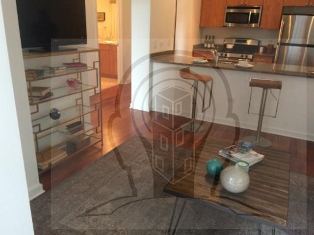 1 bedroom, CHICAGO IL 60605 78117558
