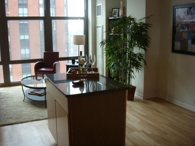 1 bedroom, CHICAGO IL 60605 78117900