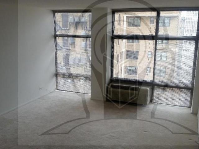 1 bedroom, CHICAGO IL 60610 78117788