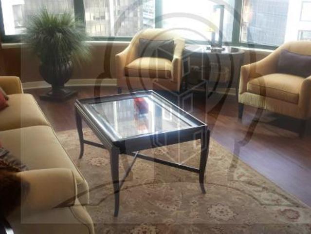 1 bedroom, CHICAGO IL 60611 78117872