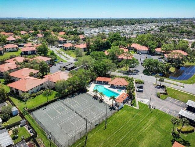1 bedroom, Clearwater FL 33761 88970537