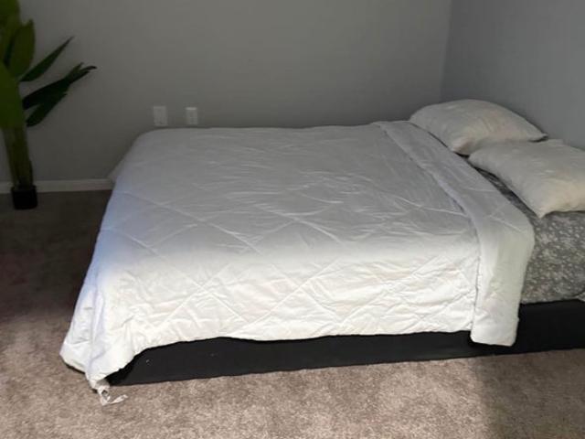 1 bedroom and 1 bathroom for rent