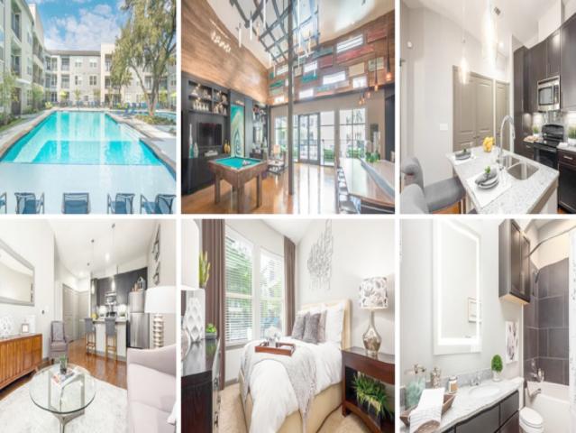 1 bedroom, Addison TX 75244 77108924