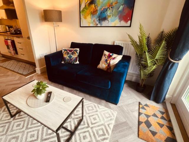 1 Bedroom Apartment Birmingham Birmingham 94963921