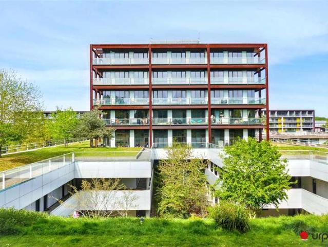 1 Bedroom Apartment Flat