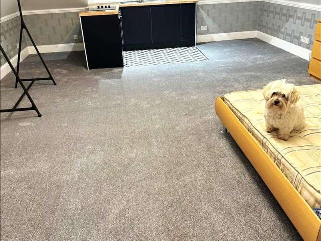 1 Bedroom Apartment Flat