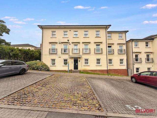 1 Bedroom Apartment Flat