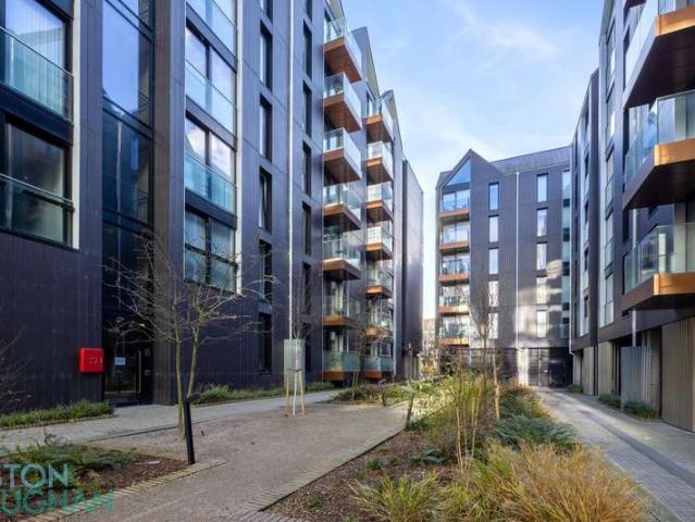 1 Bedroom Apartment Flat