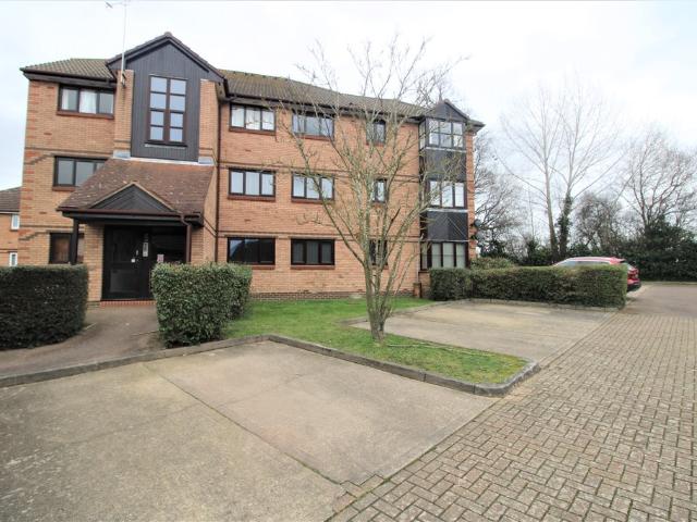 1 bedroom Apartment for let