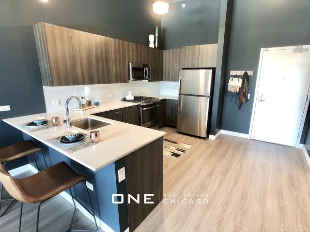 1 Bedroom Apartment for Rent at N Morgan & Chicago #3, Chicago, IL 60642 West Town
