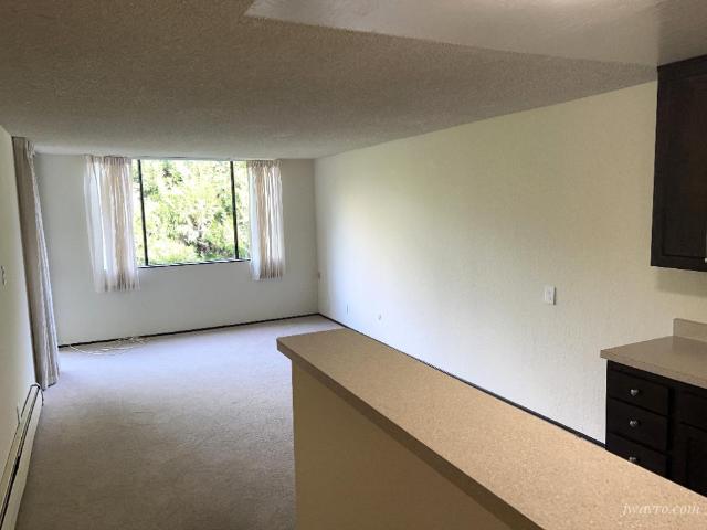 1 Bedroom Apartment for Rent at Bush Street & Webster, San Francisco, CA 94115 Lower Pacific Heights