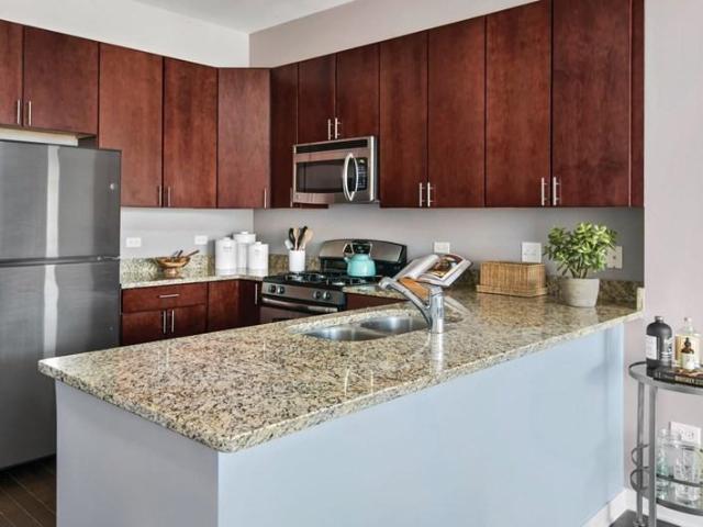 1 Bedroom Apartment for Rent at S Clark & Polk #1, Chicago, IL 60605 Loop