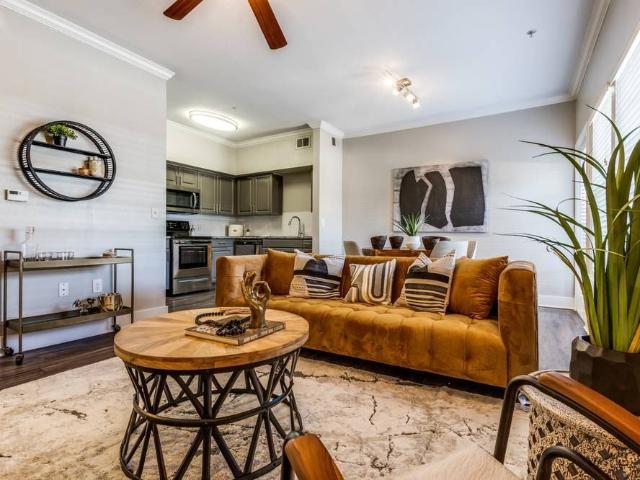 1 Bedroom Apartment for Rent at Vista Parke Dr & N FM 620, Austin, TX 78726