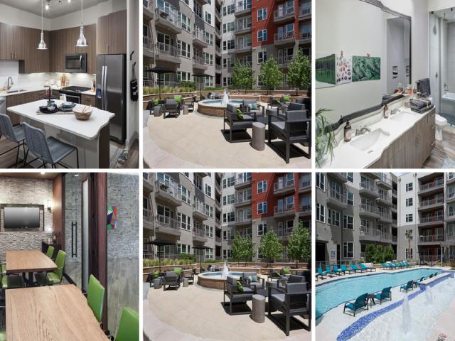 1 Bedroom Apartment for Rent at 165 W Cityline Dr #2289, Richardson, TX 75082