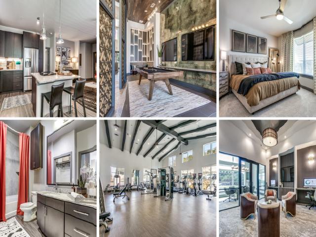 1 Bedroom Apartment for Rent at 1703 My Anns Hl #145904, San Antonio, TX 78258 Stone Oak