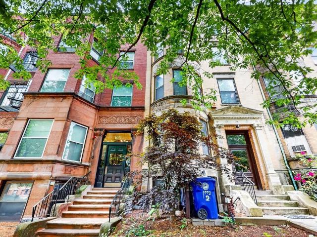 1 Bedroom Apartment for Rent at 1071 Beacon St #6, Brookline, MA 02446 Coolidge Corner