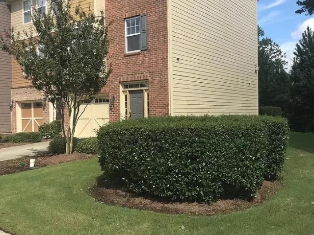 1 Bedroom Apartment for Rent at 116 Linden Park Ln, Cary, NC 27519