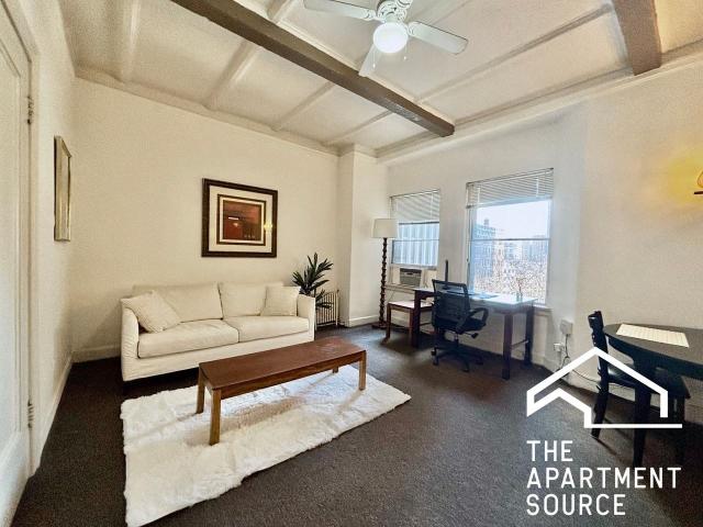 1 Bedroom Apartment for Rent at 1220 N State Pkwy #F, Chicago, IL 60610 Near North Side
