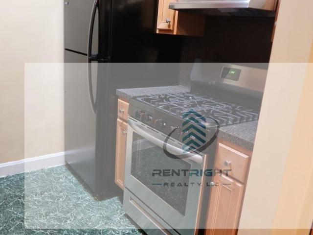 1 Bedroom Apartment for Rent at 1311 N Bosworth Ave #BM, Chicago, IL 60642 West Town