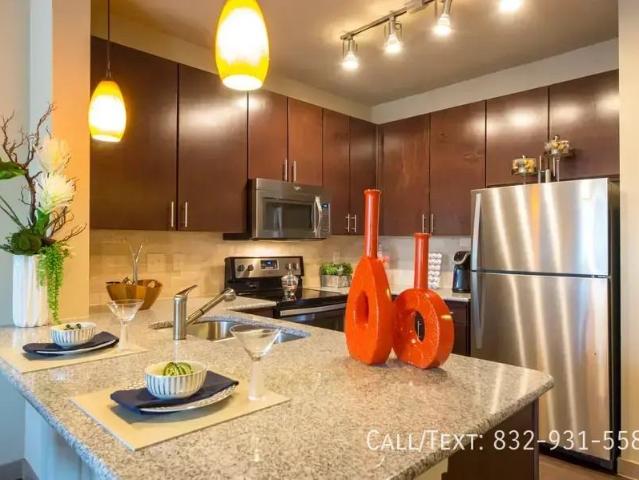 1 Bedroom Apartment for Rent at 1343 Antoine Dr #NPO, Houston, TX 77055 Spring Branch East