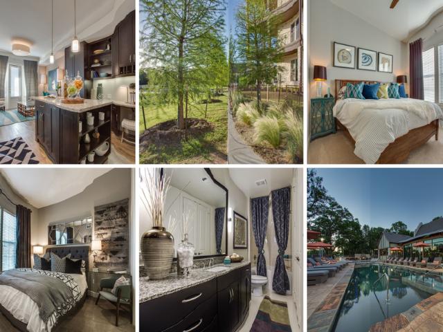 1 Bedroom Apartment for Rent at 13501 Lyndhurst St #126885, Austin, TX 78717