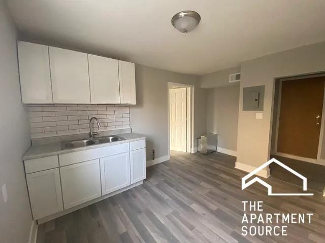 1 Bedroom Apartment for Rent at 245 N Mason Ave #G, Chicago, IL 60644 Austin