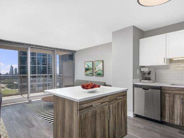 1 Bedroom Apartment for Rent at 260 E South Water St #1B, Chicago, IL 60601 Loop