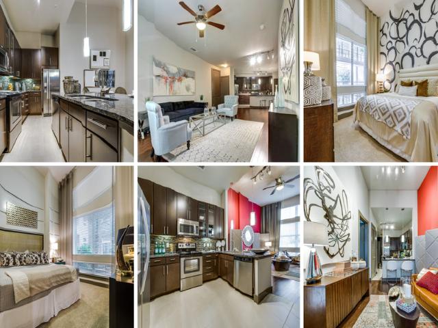 1 Bedroom Apartment for Rent at 2225 Hermann Dr #150275, Houston, TX 77004 MacGregor
