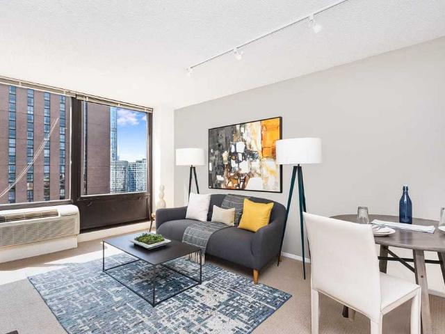 1 Bedroom Apartment for Rent at 233 E Wacker Dr, Chicago, IL 60601 Loop