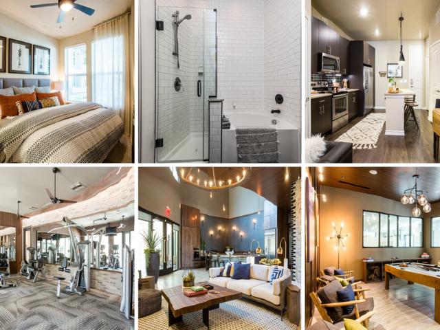 1 Bedroom Apartment for Rent at 3402 Danville Dr #130846, Cedar Park, TX 78613