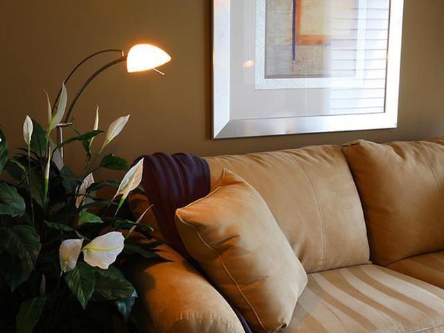 1 Bedroom Apartment for Rent at 34824 Birchgrove Dr, Sterling Heights, MI 48312 Sterling Heights