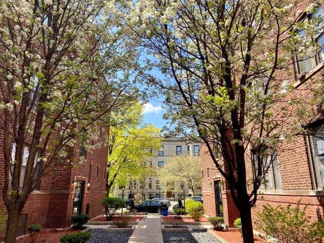 1 Bedroom Apartment for Rent at 3825 N Fremont St, Chicago, IL 60613 Lakeview